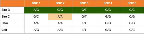 Neogen Genomics — Highland Cattle Society