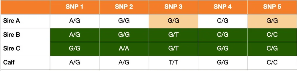 Neogen Genomics — Highland Cattle Society