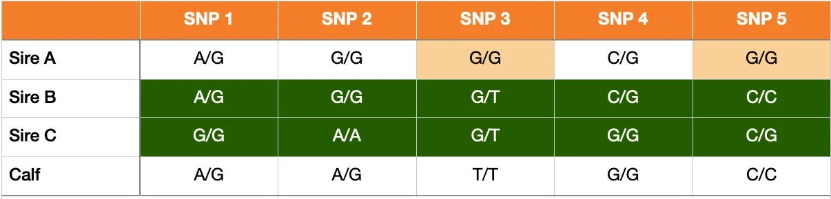 Neogen Genomics — Highland Cattle Society