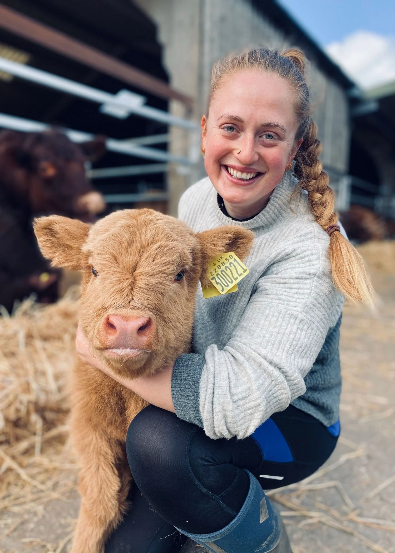 Trustees — Highland Cattle Society