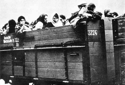 The Journey through Nazism to Liberation — The Holocaust Memorial ...