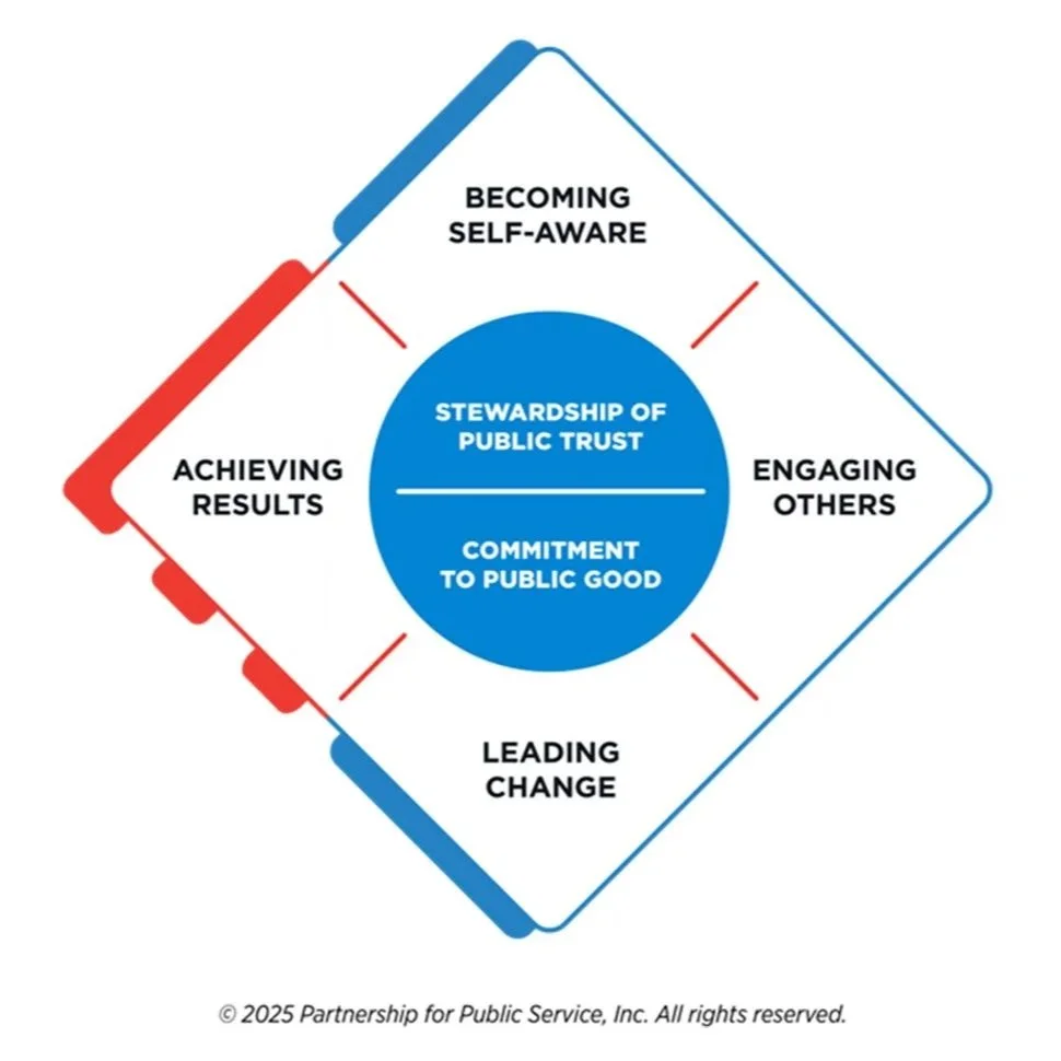 What Makes a Great Government Leader? Inside the Public Service ...