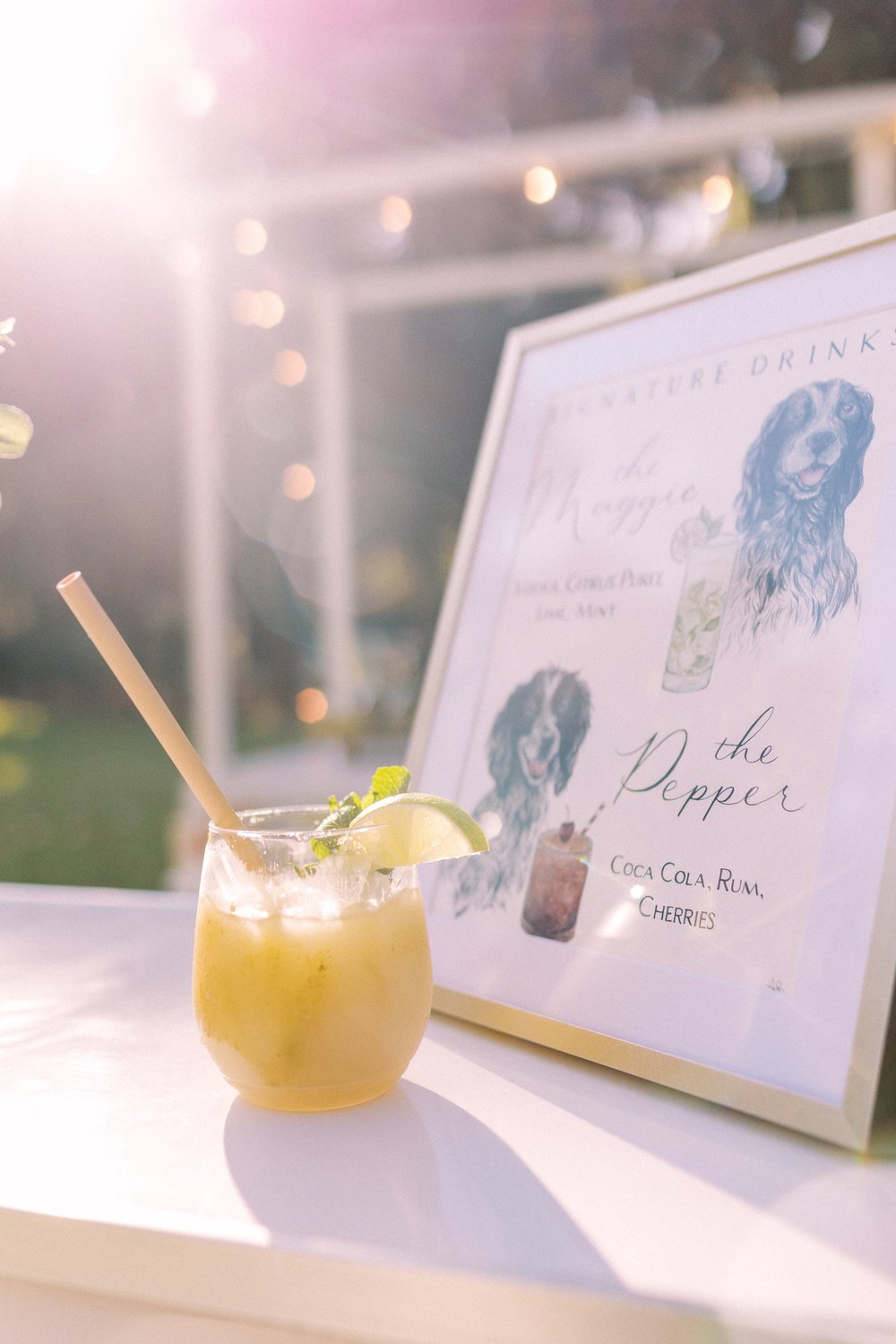 The Fizzy Cart | Book Your Mobile Bar Today — Fizz & Foam Mobile Bar