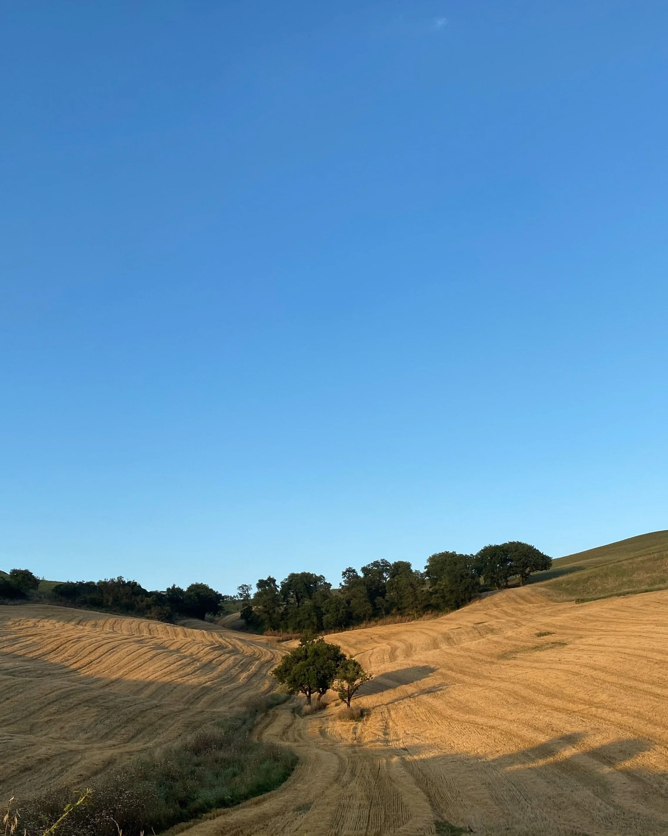 Experience Tuscany like a local — THE WORLD FROM A WINDOW
