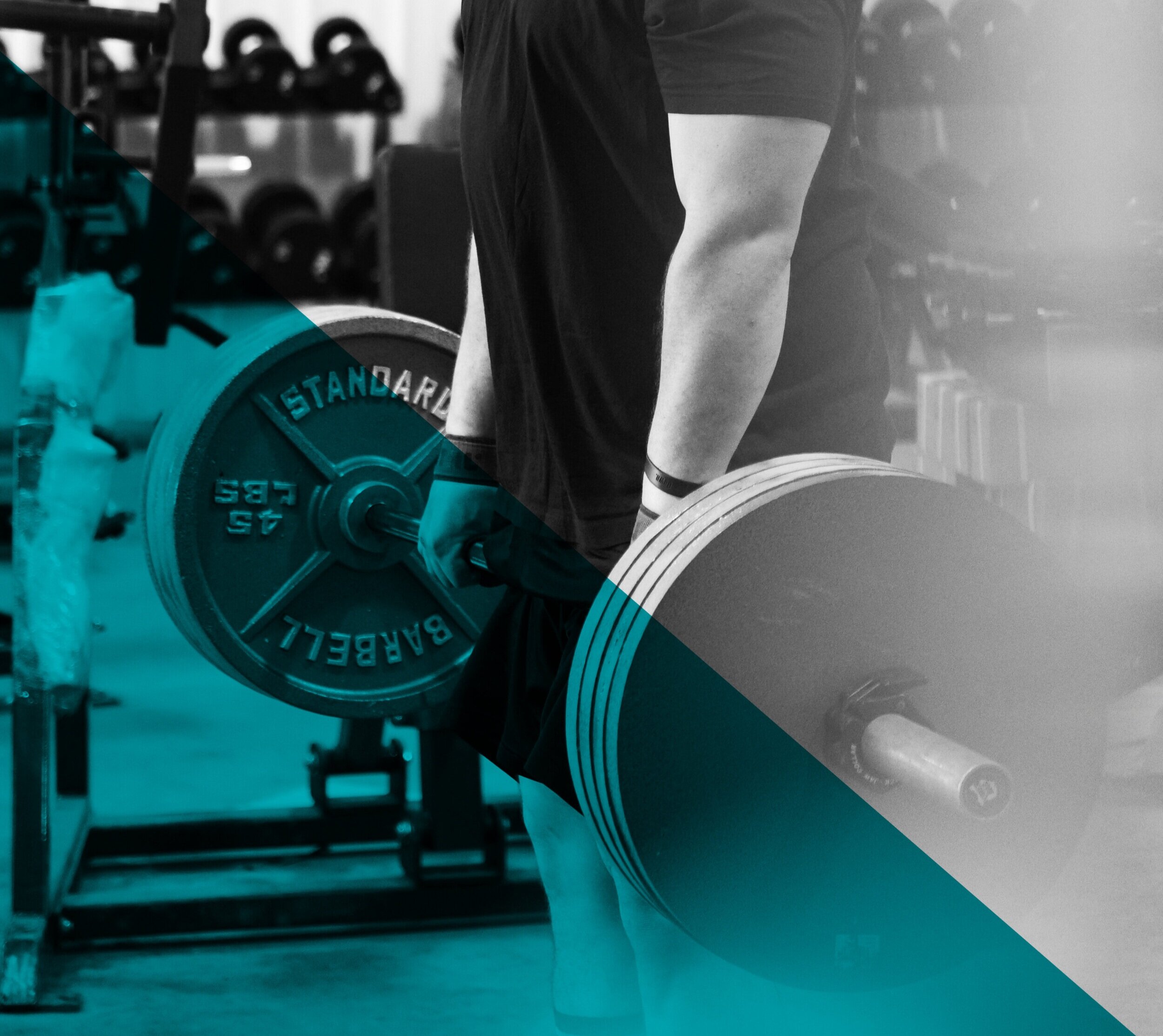 Evolution Fitness