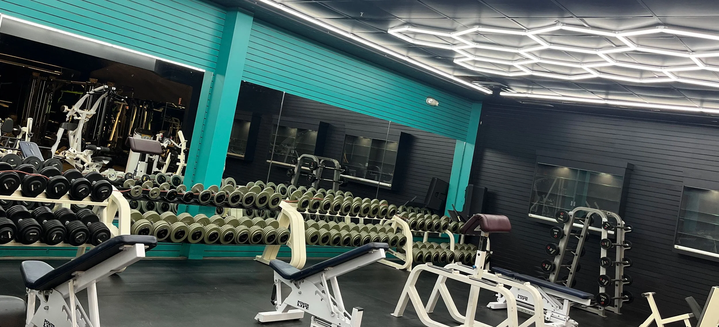 Evolution Fitness