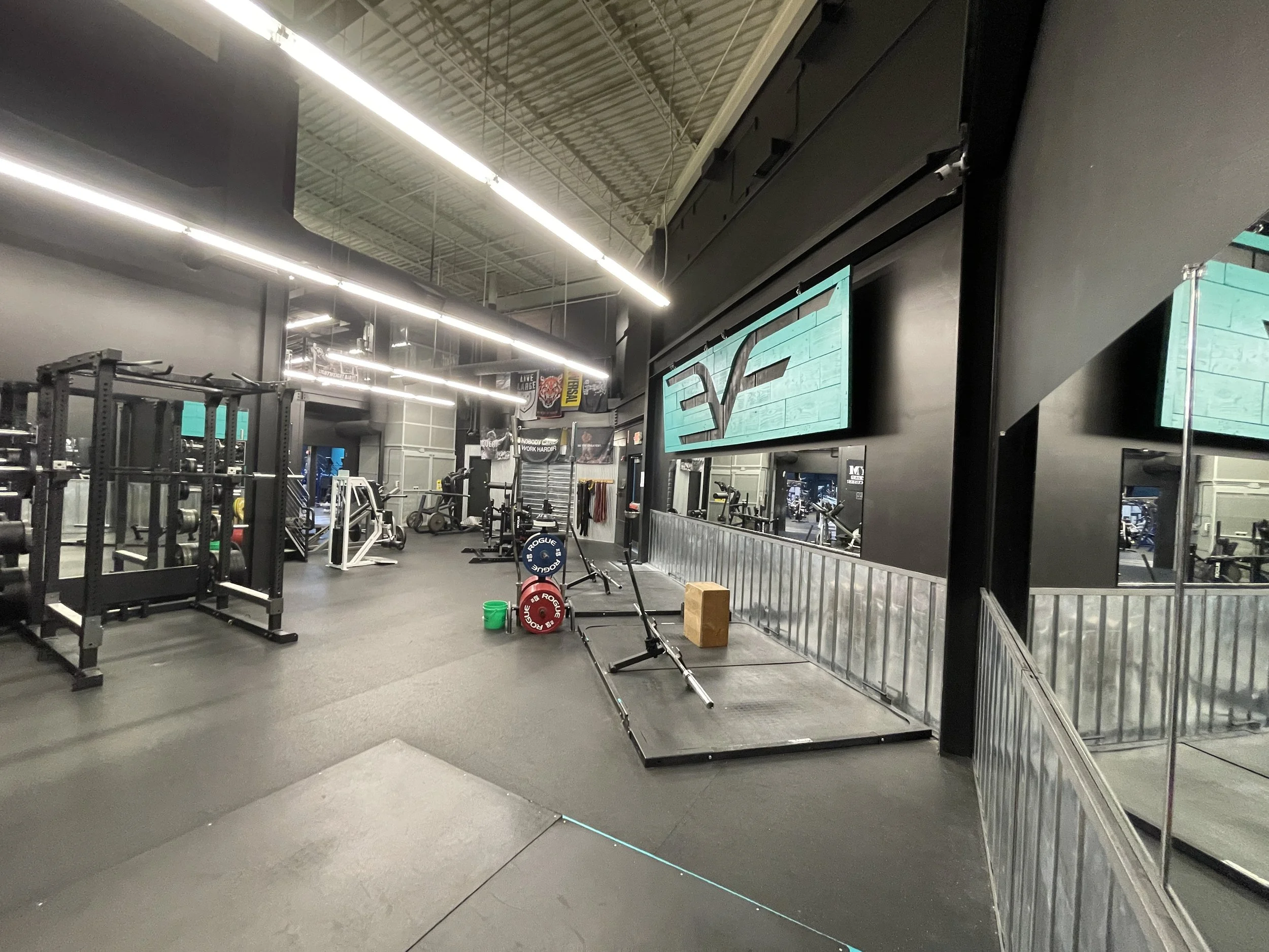 Evolution Fitness