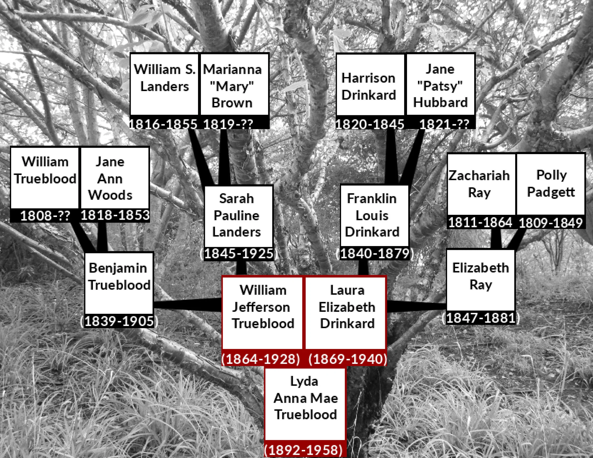 Killer Family Trees — Murderous Roots