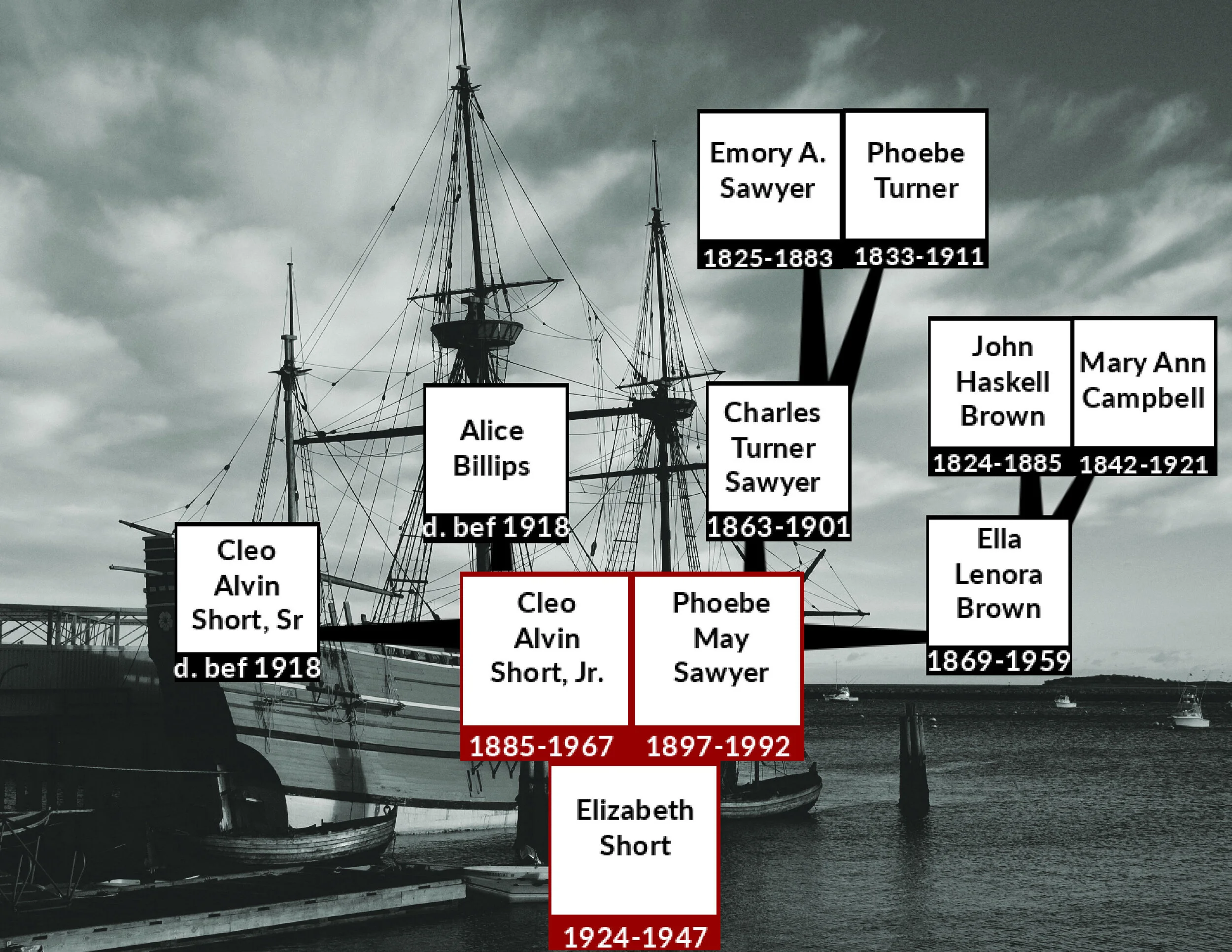 Killer Family Trees — Murderous Roots