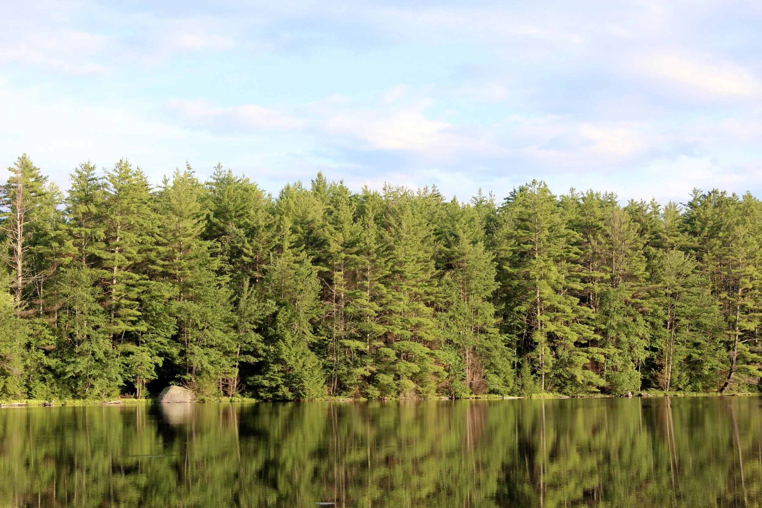 Christian Girls Summer Camp in NY