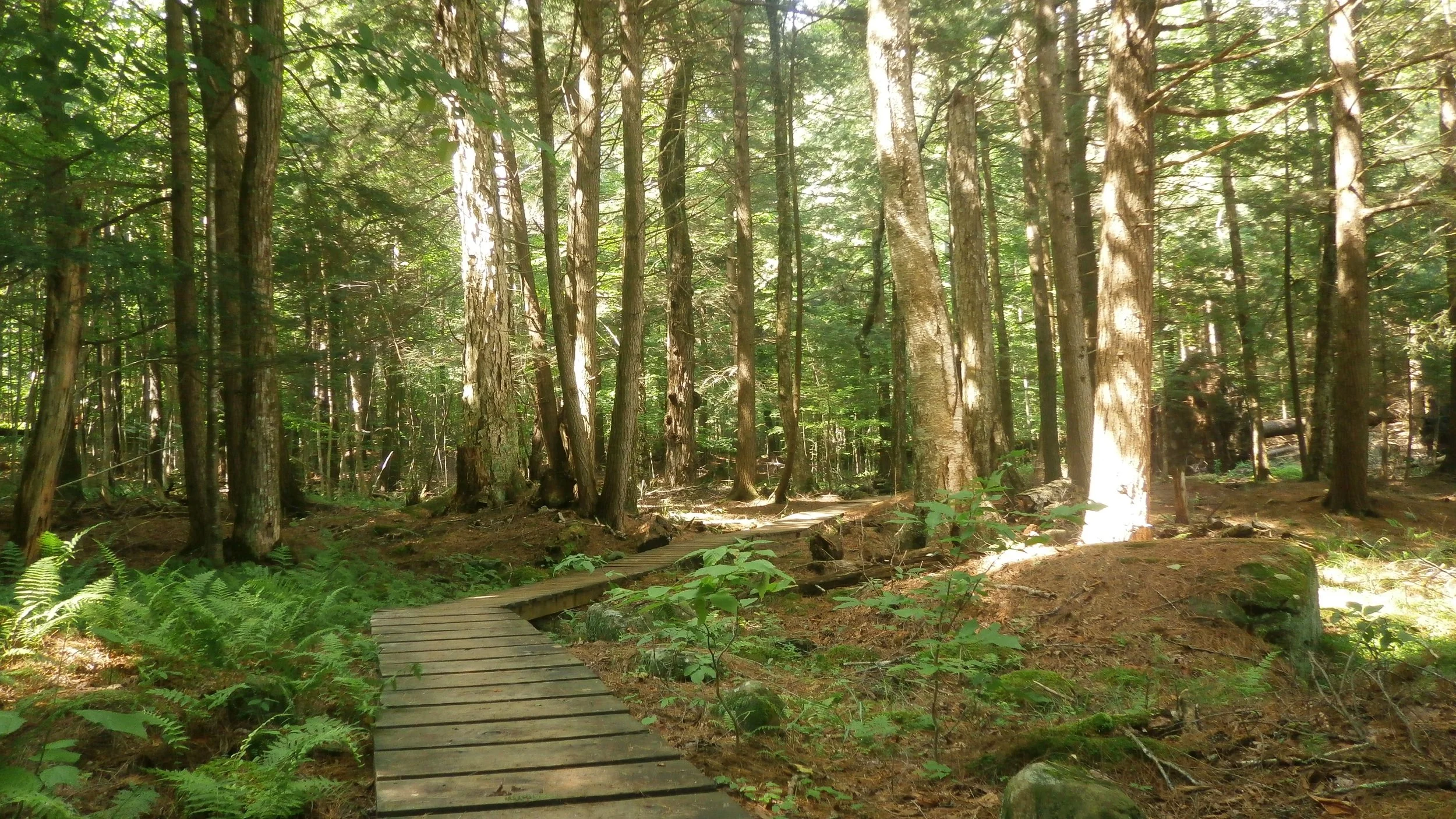 Christian Girls Summer Camp in NY