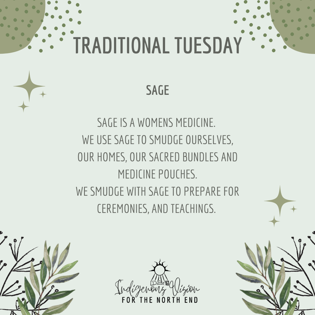 IVNE Traditional Tuesday - Sage Teaching — Indigenous Vision For The ...