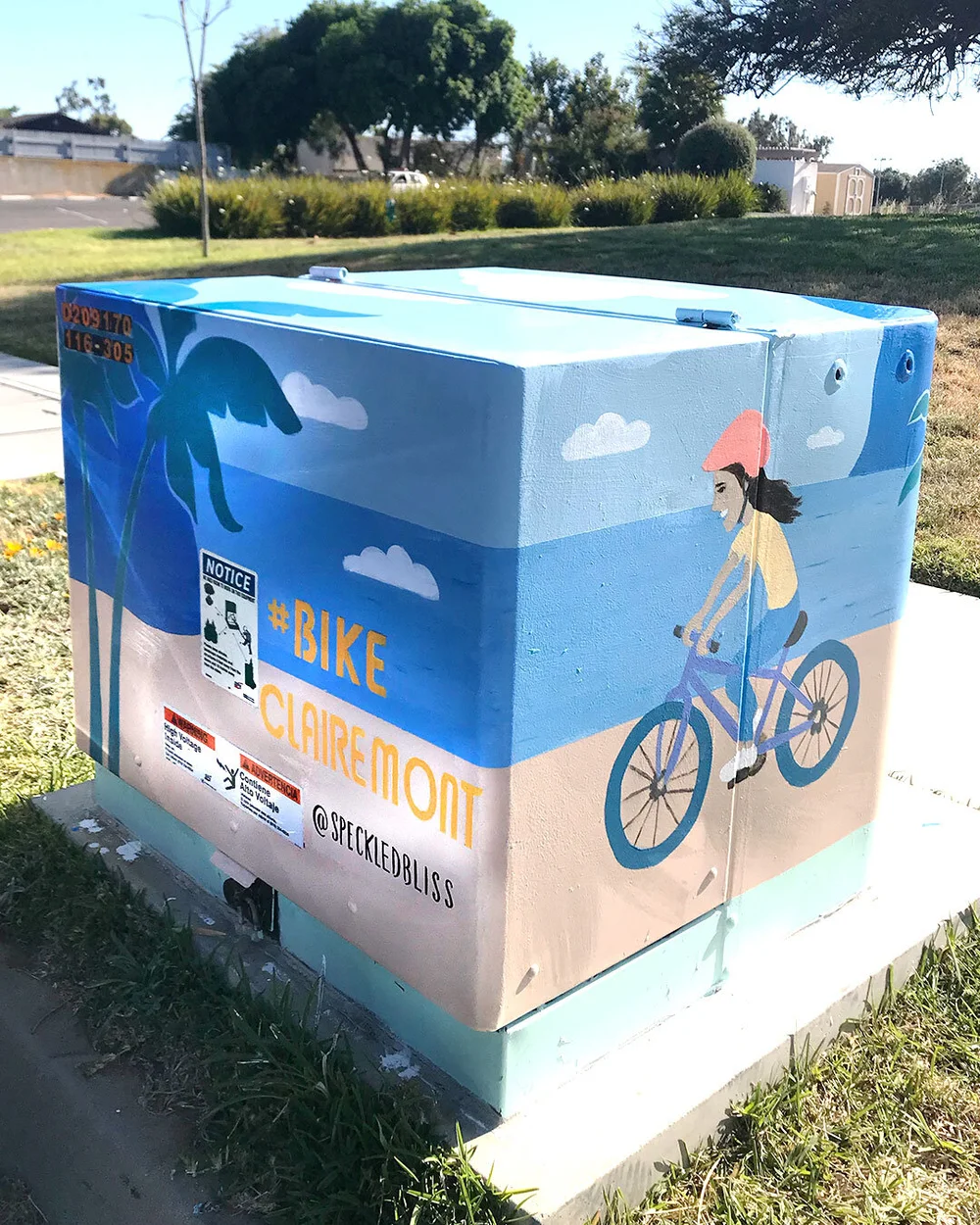 Painting Electrical Boxes in San Diego — Speckled Bliss Design Studio