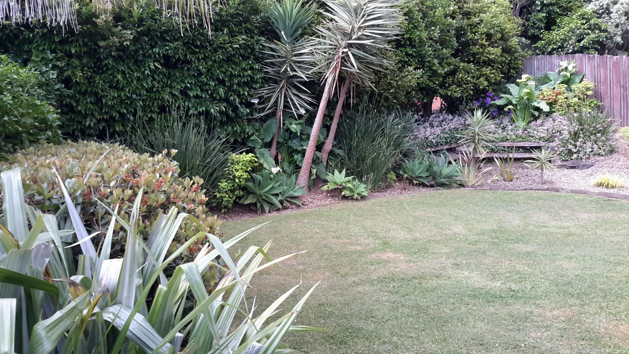 Garden Tidy-Up / Yard Tidy-Up — My Garden Guy, Auckland — My Garden Guy