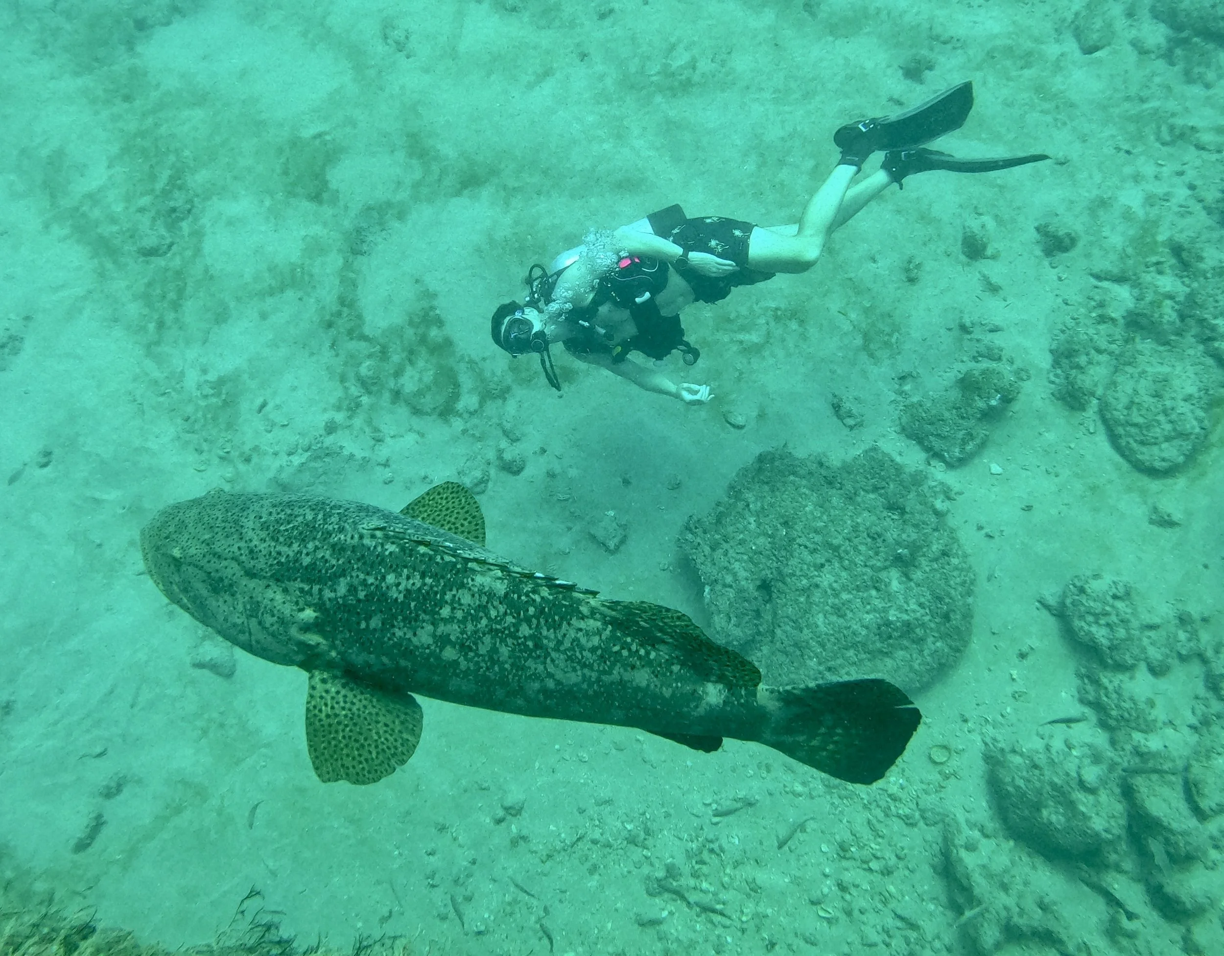 Blog | Explore the Depths — Kyle Mabry