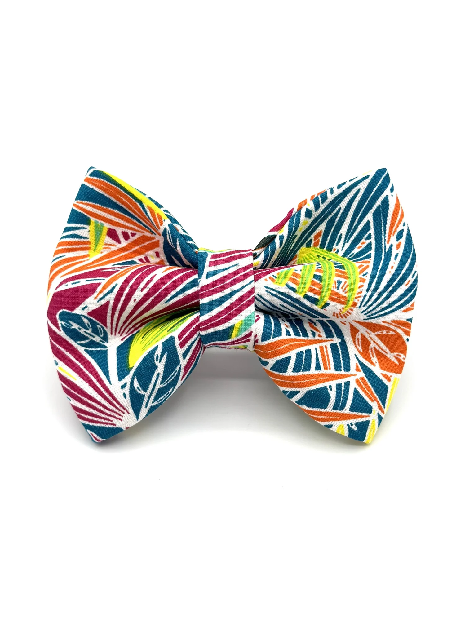 Shop — Banjo's Bows