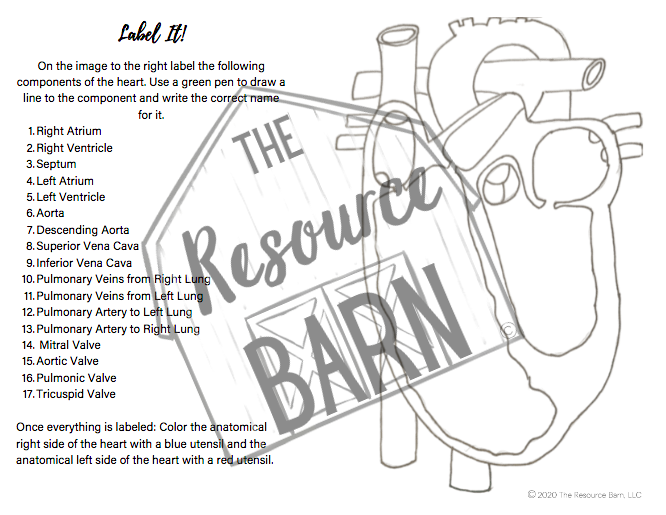 FFA Scavenger Hunt — The Resource Barn
