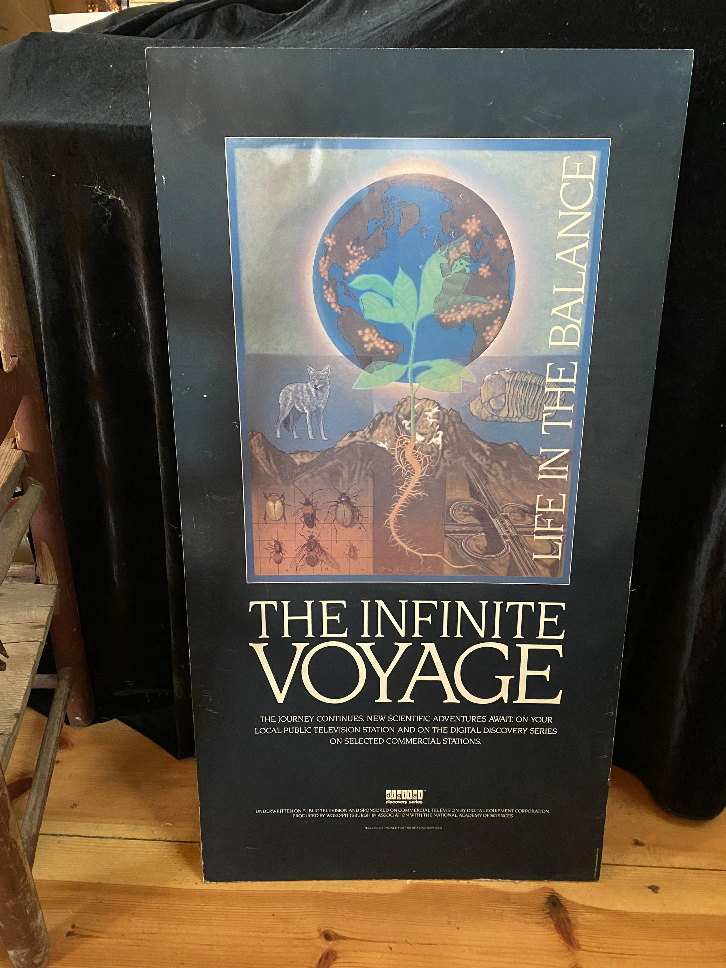 The Infinite Voyage Vintage PBS Posters — Goronson Farm