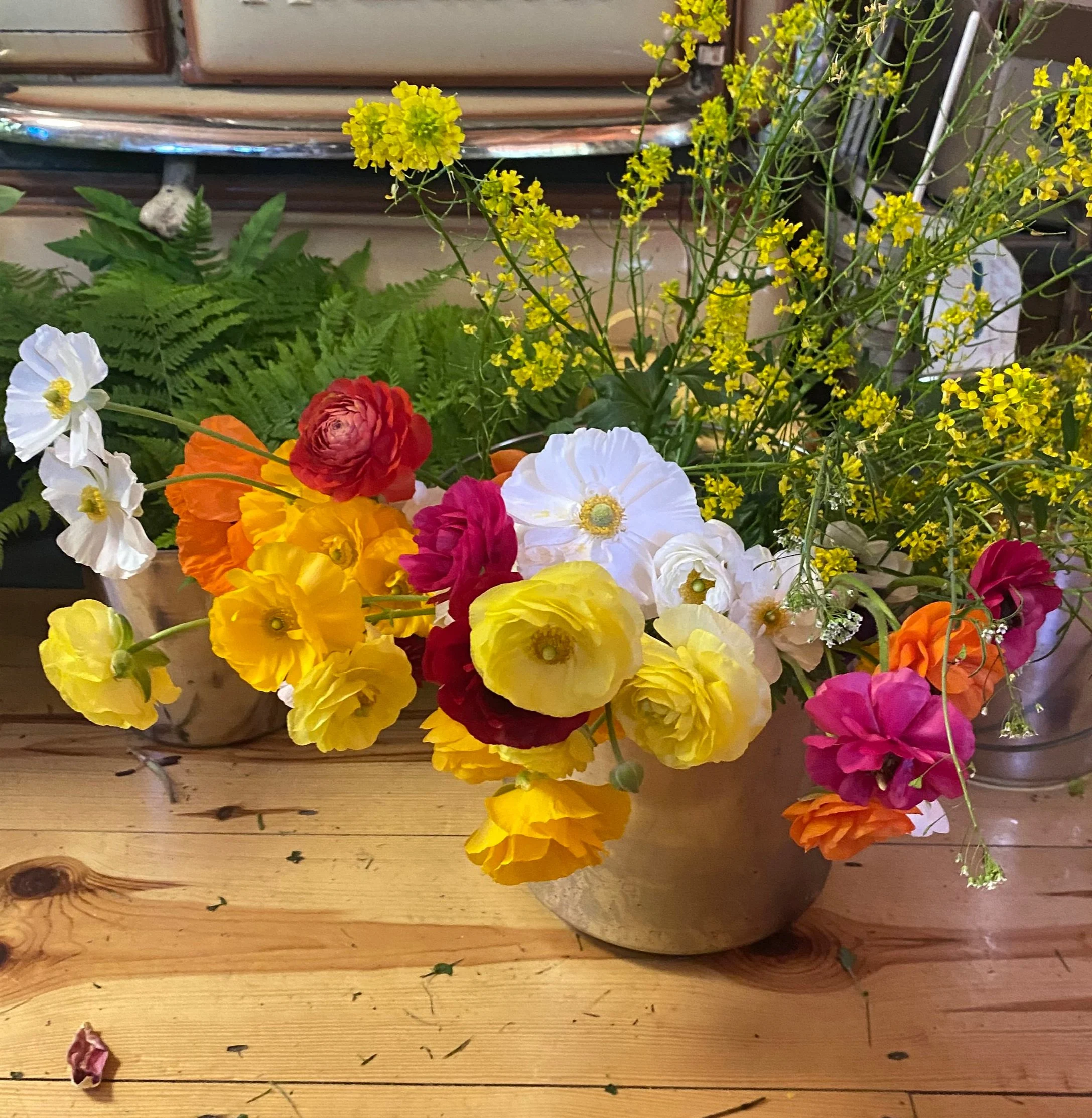 Ranunculus & Anemones — Goronson Farm