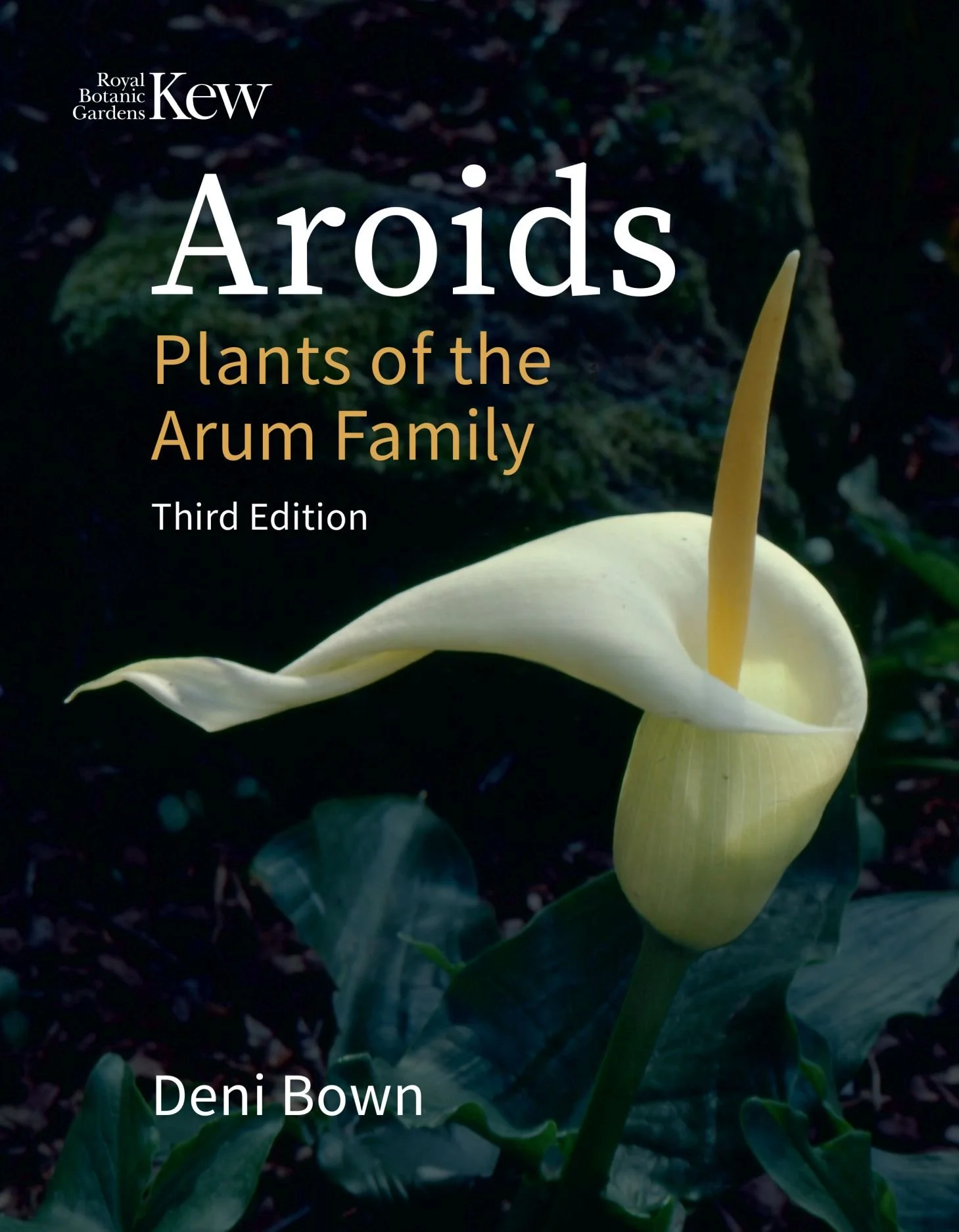 Aroidpedia | Explore Aroid Diversity