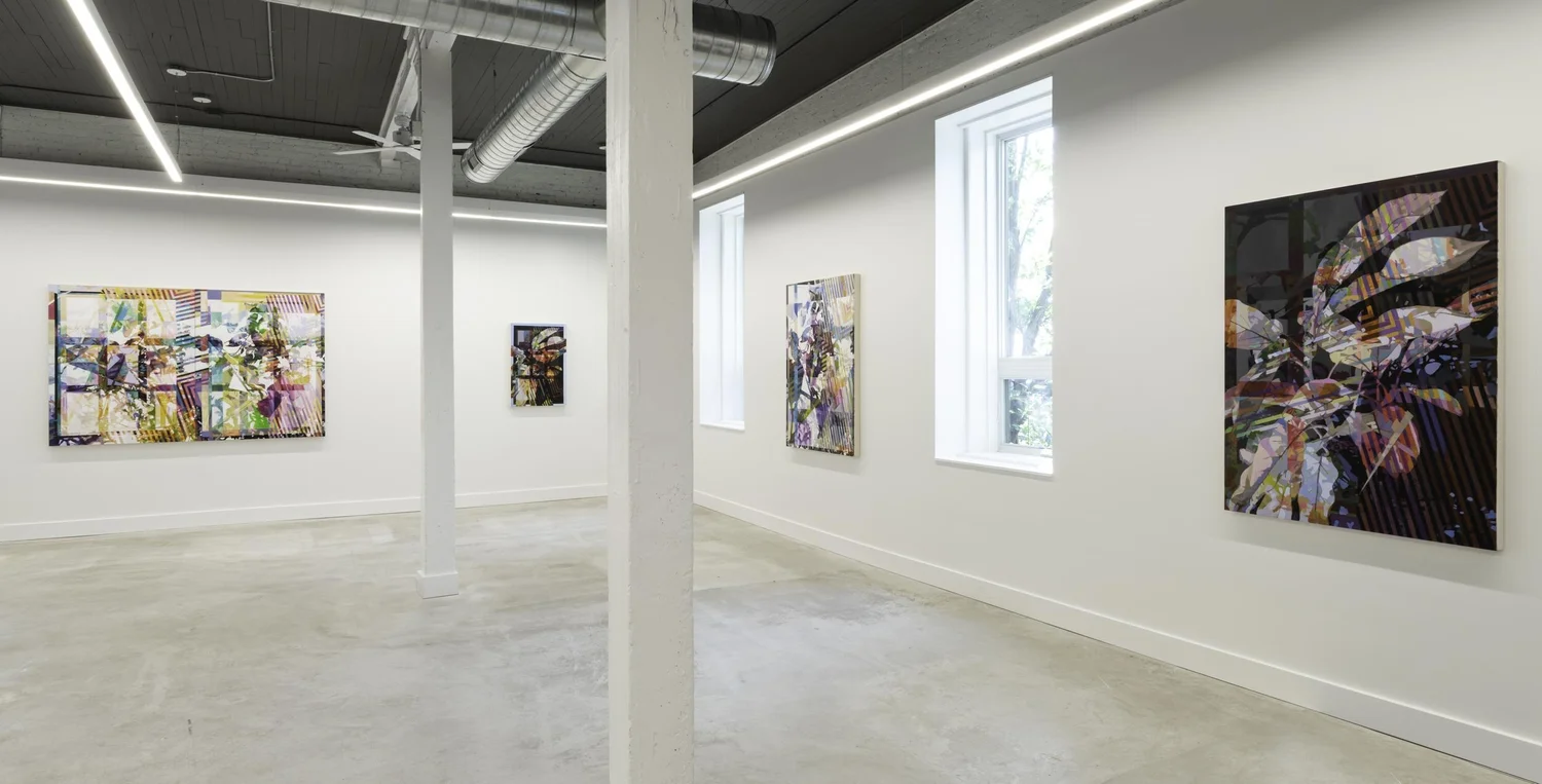 Griff Williams | Description Without Place | Eli Ridgway Gallery