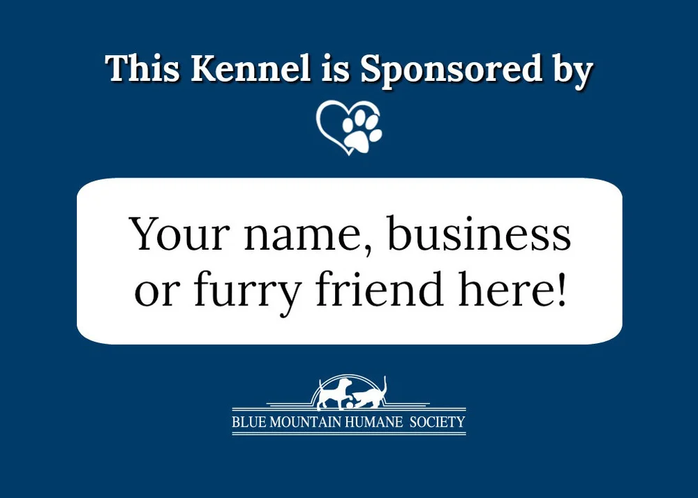 Kennel Sponsorship: Providing Care and Comfort for Shelter Animals ...