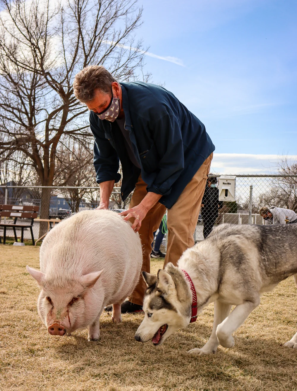 Elvis Pigsley and His Best Friend, Lupa — Blue Mountain Humane Society ...
