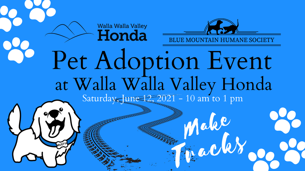 Walla Walla Valley Honda Adoption Event — Blue Mountain Humane Society ...