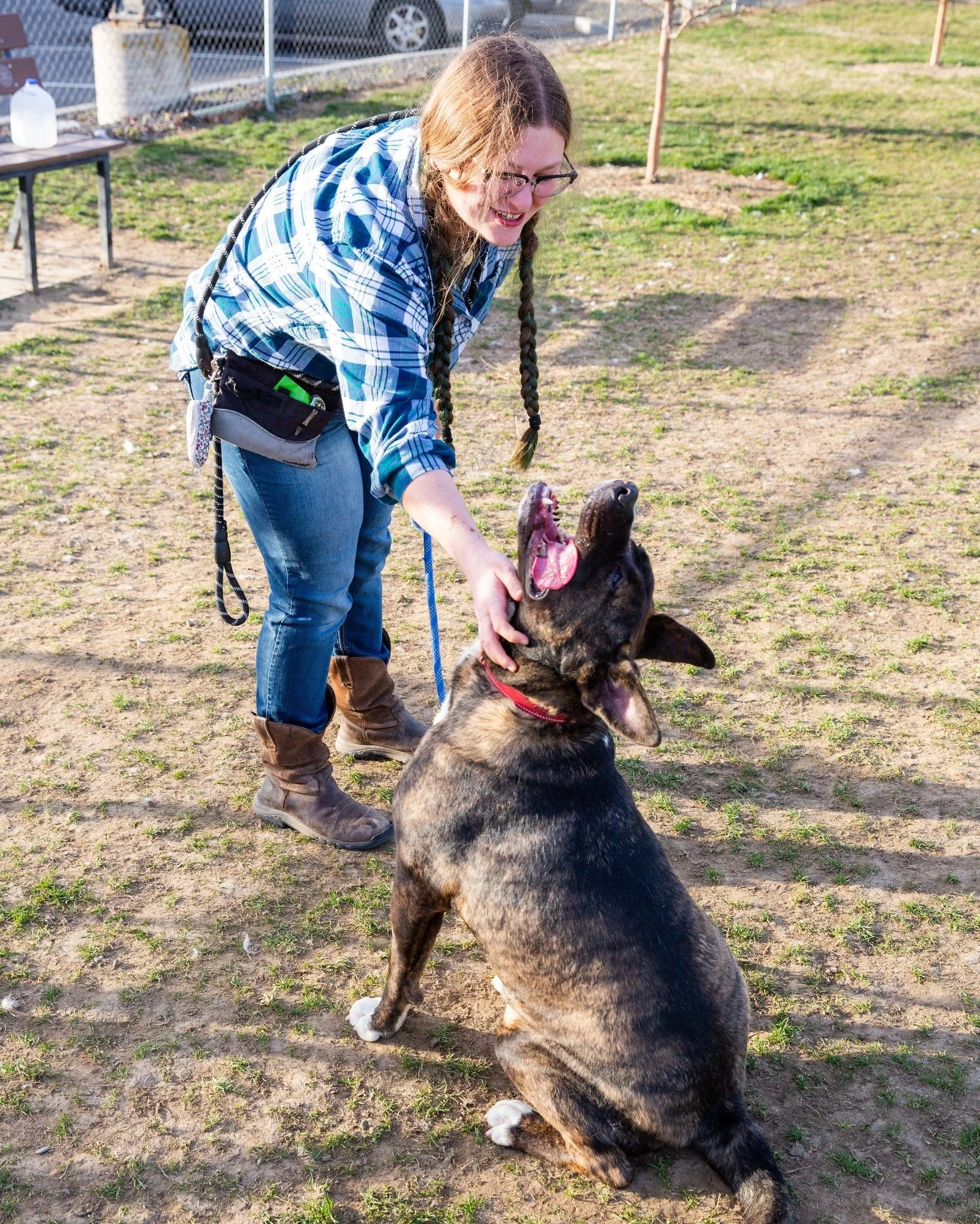 Blue Mountain Humane Society | Animal Welfare in Walla Walla, WA