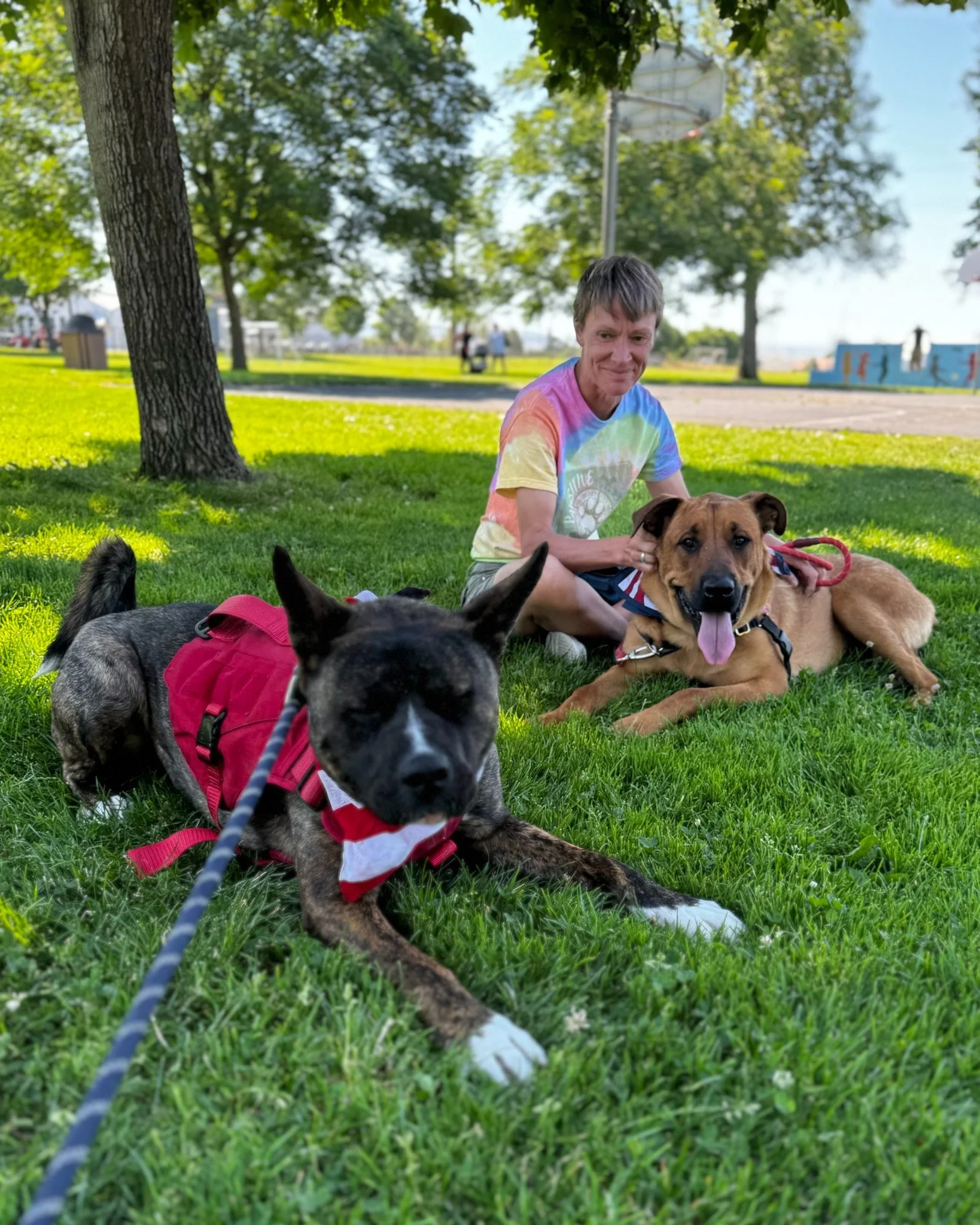 Blue Mountain Humane Society | Animal Welfare in Walla Walla, WA