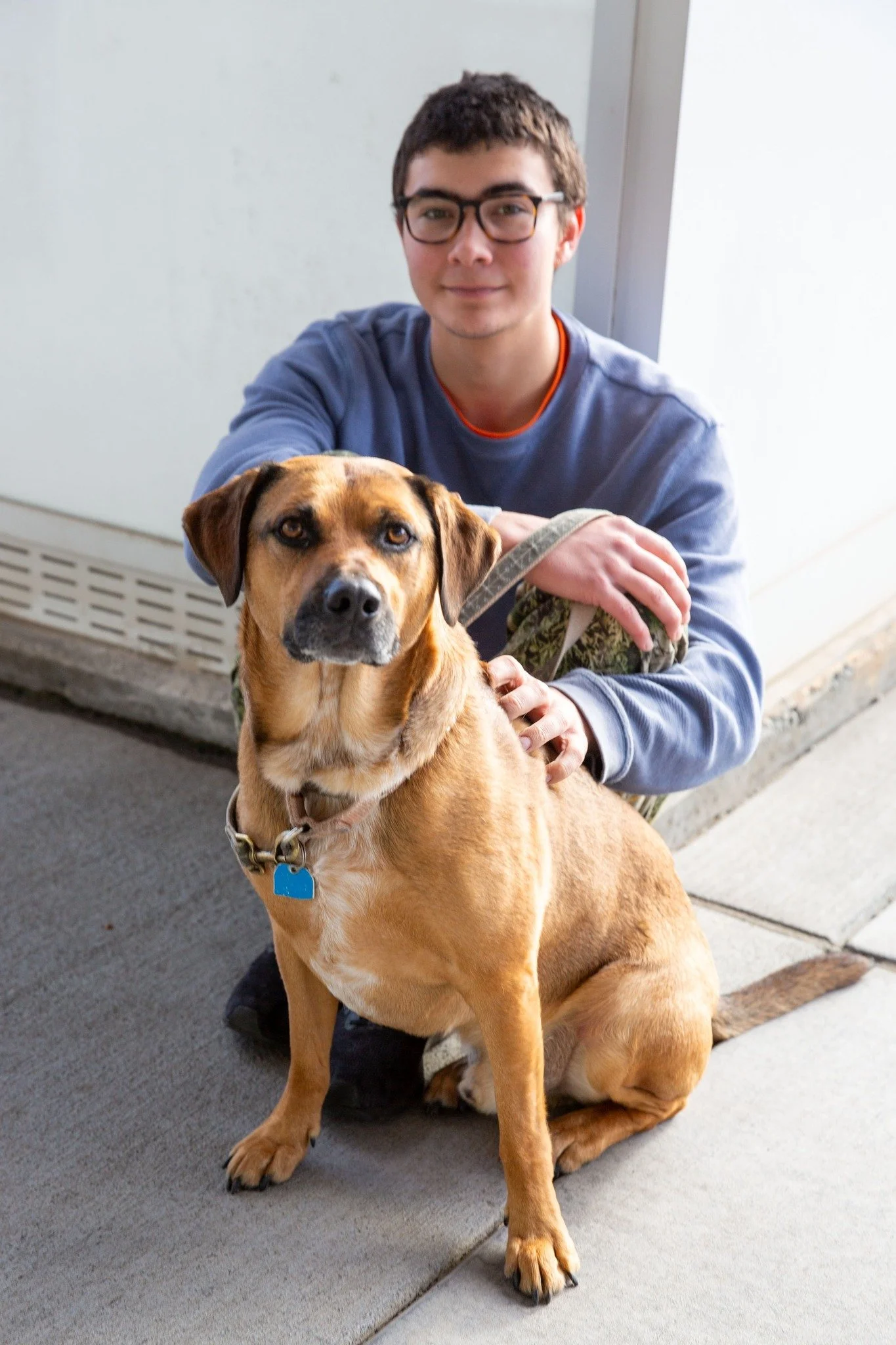 Blue Mountain Humane Society | Animal Welfare in Walla Walla, WA