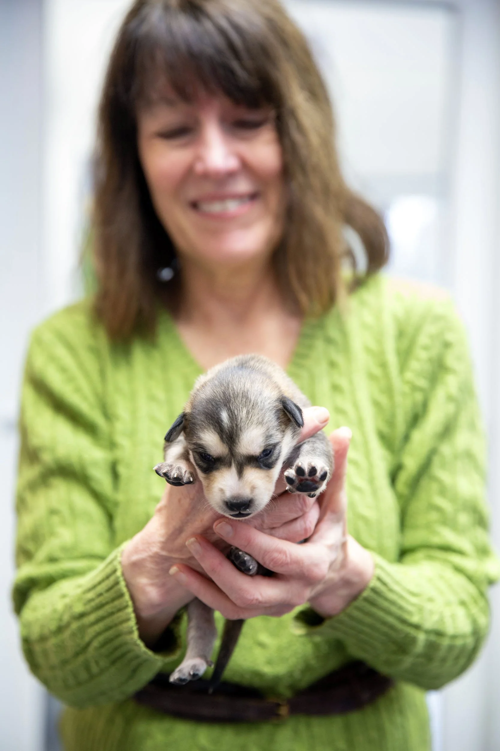 Blue Mountain Humane Society | Animal Welfare in Walla Walla, WA