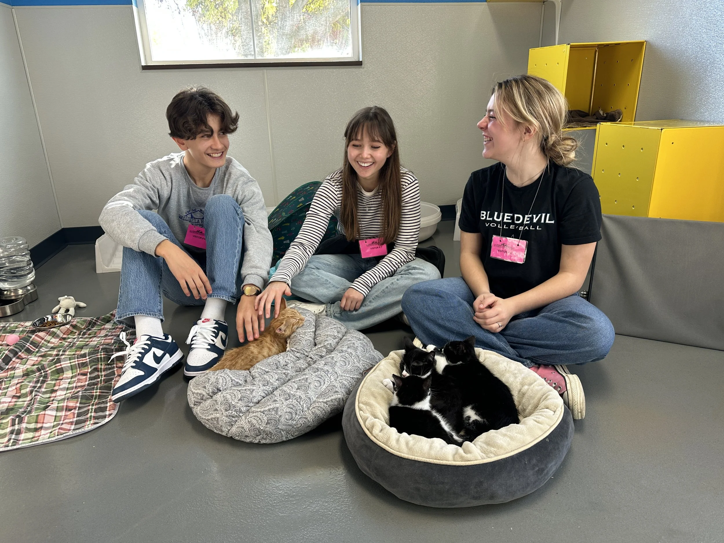 Blue Mountain Humane Society | Animal Welfare in Walla Walla, WA