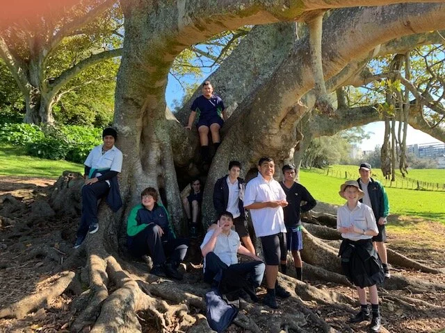 About Oaklynn — Oaklynn School