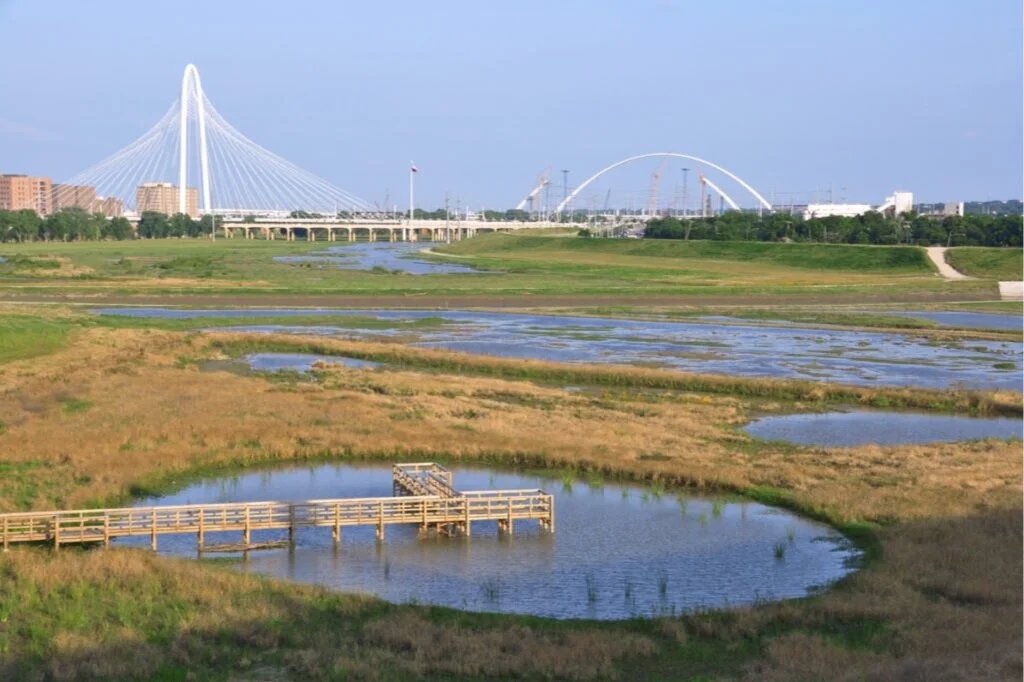 Projects — Hamilton & Associates