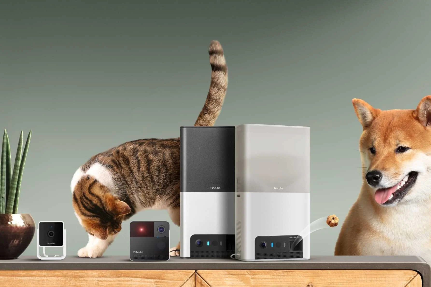 Our Brands — District