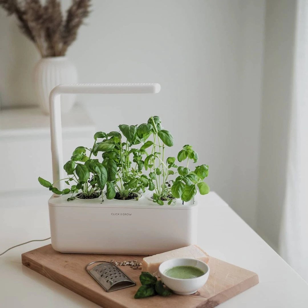 Click & Grow — District