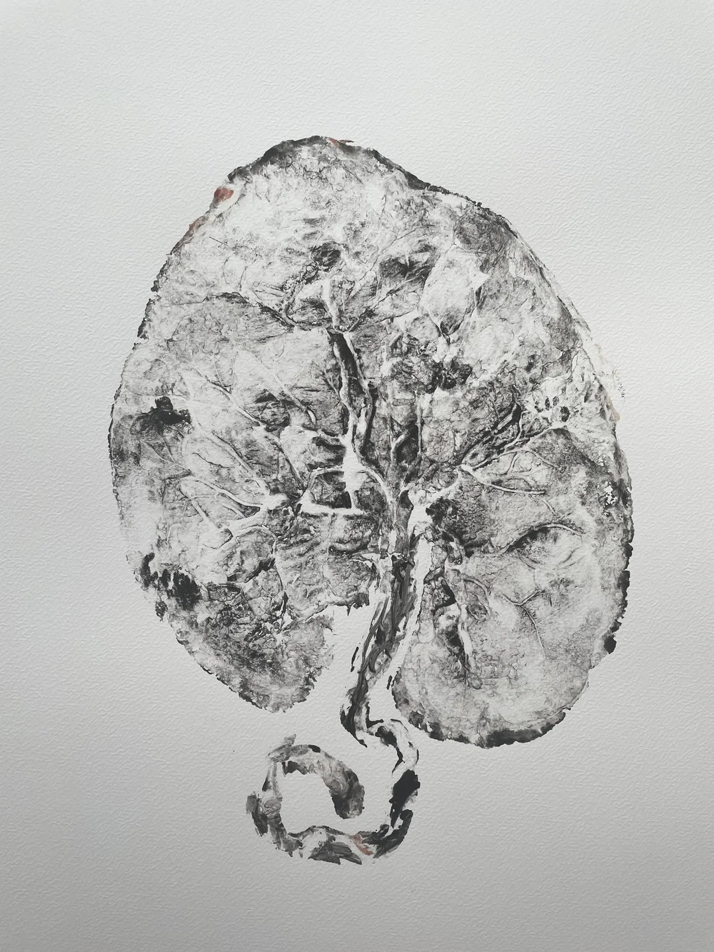 placenta print — StudioMoonBirth * Doula * Healing * The Moon Rebirth ...