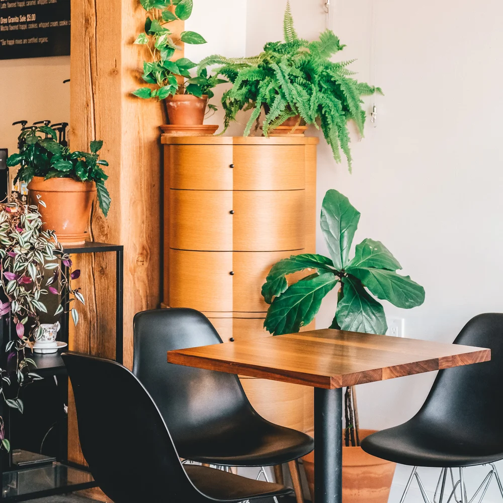 CoffeePass | Edmonton's Local Coffee Passport