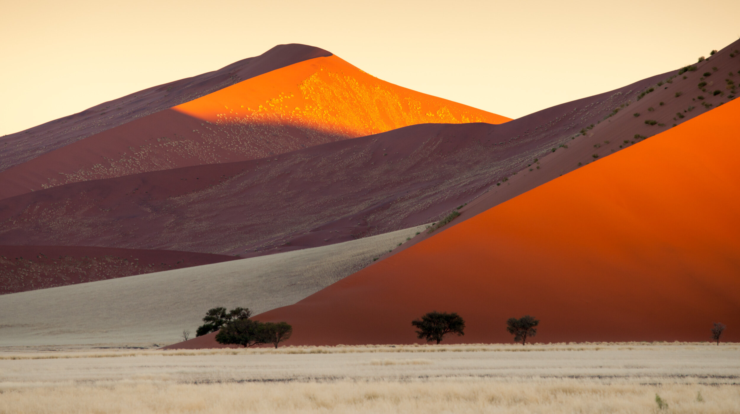 Namibia — Andy Biggs