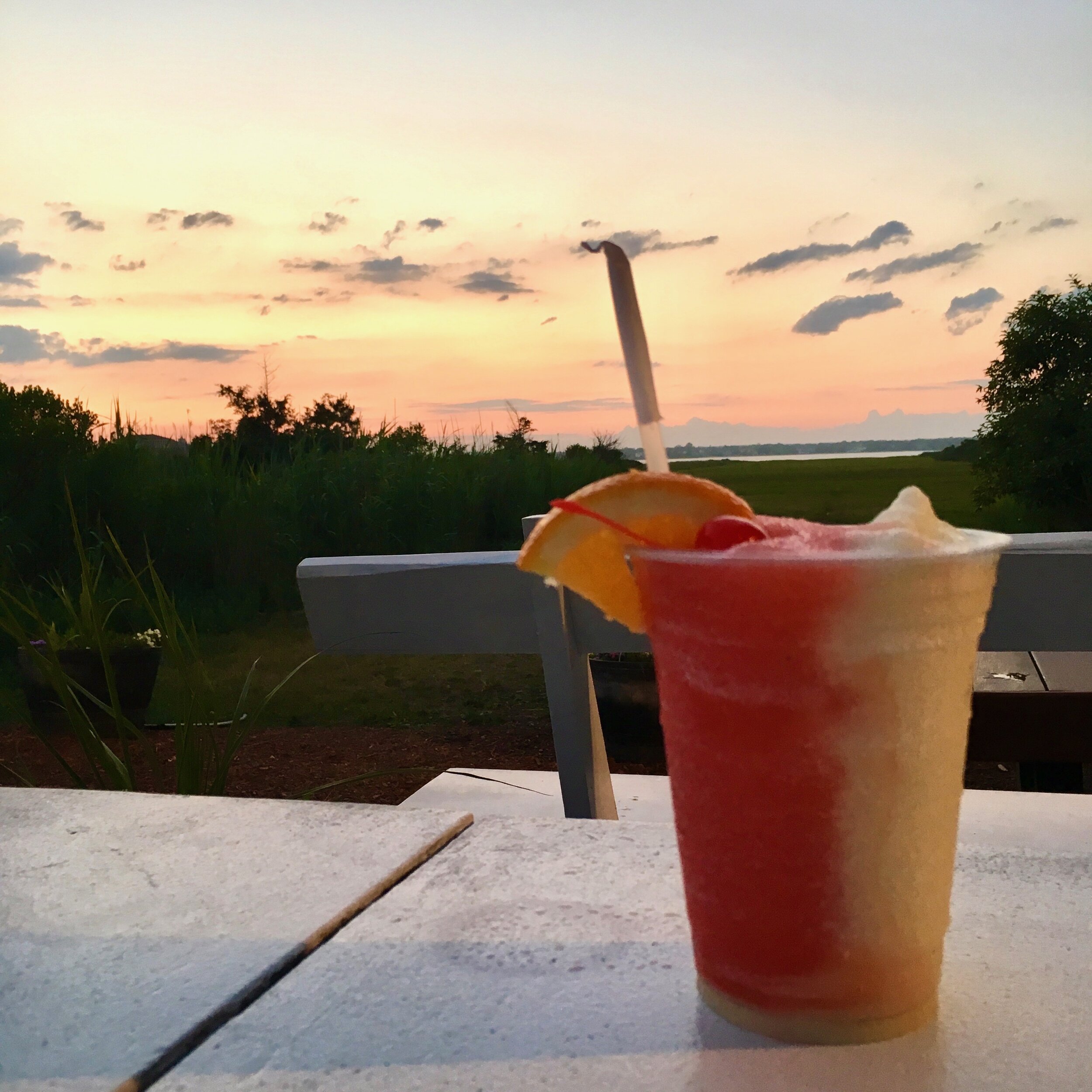 JOHN SCOTTS SURF SHACK/2023