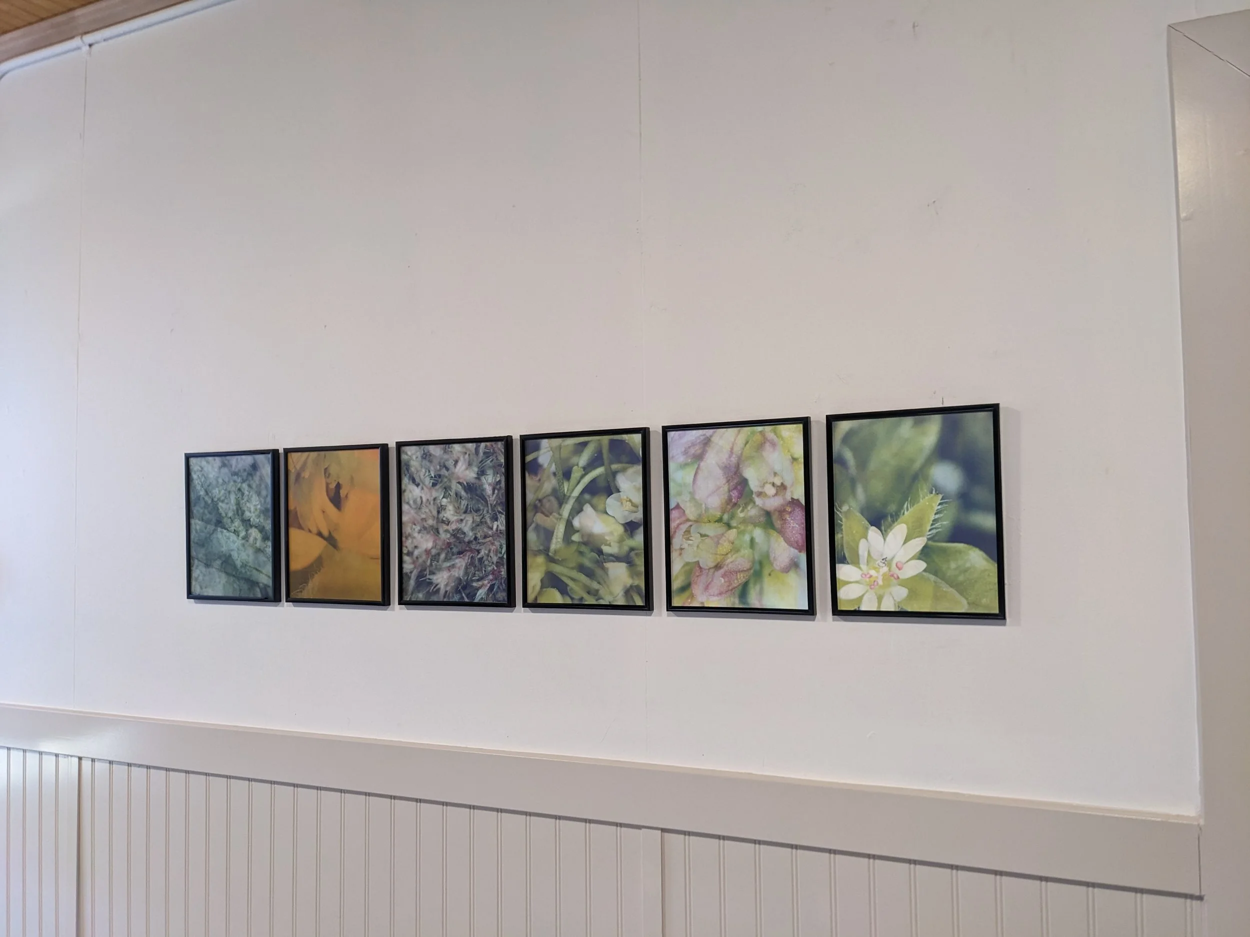 Olympia Artspace Alliance Space Grant Recipients, Spring 2023 — Olympia ...