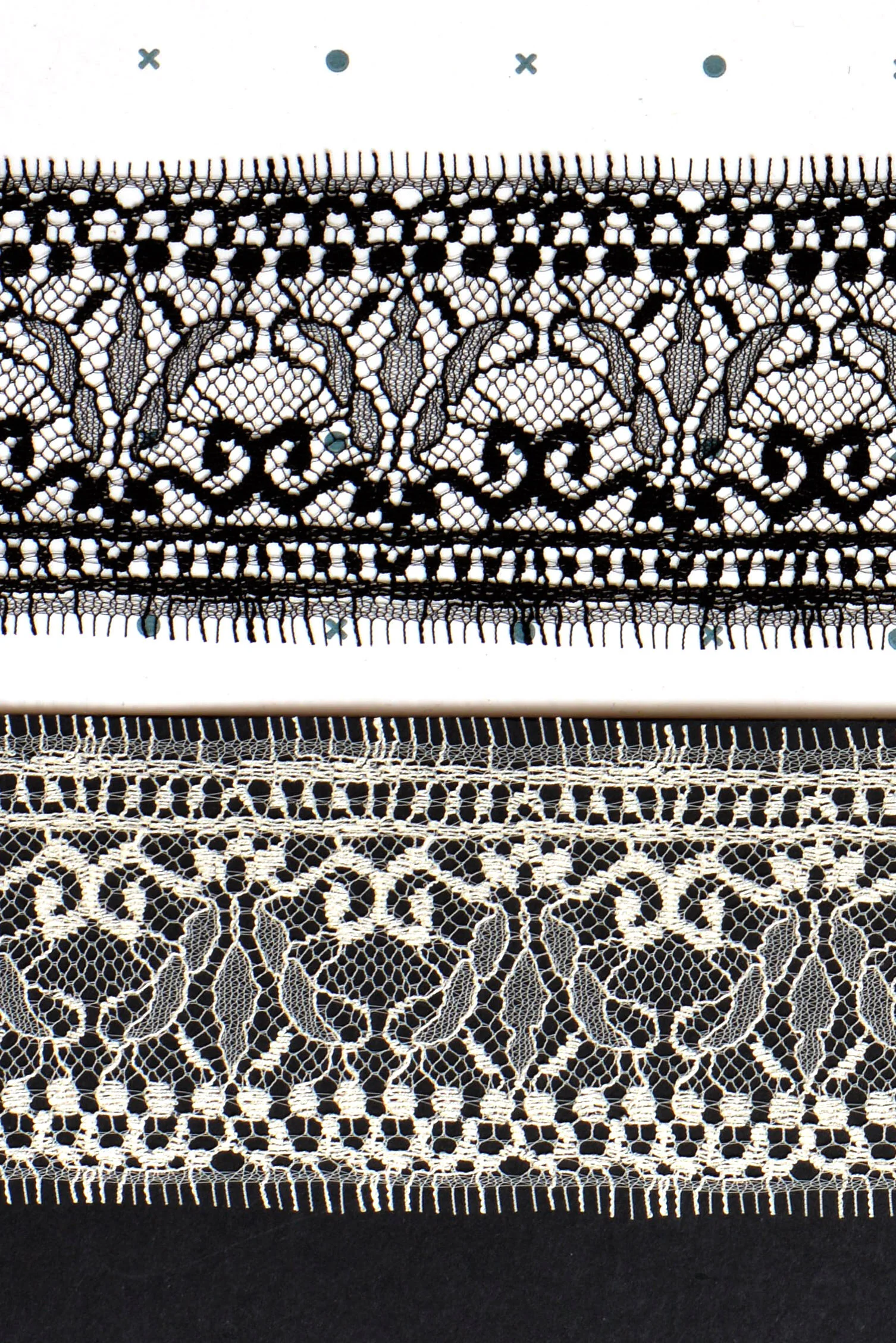 Tempest Leavers Lace — Contour Atelier
