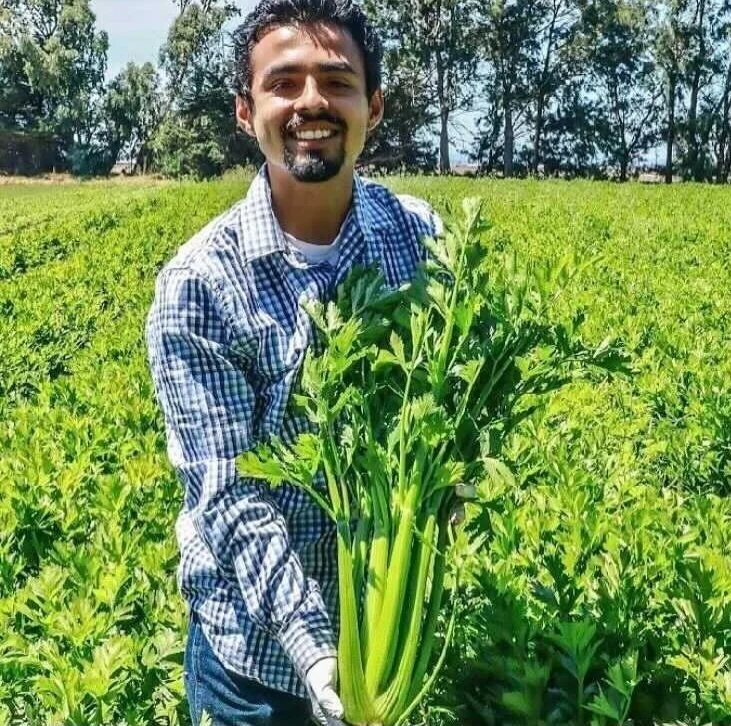 Connecting Farmers of Color to Local Food-Insecure Communities ...
