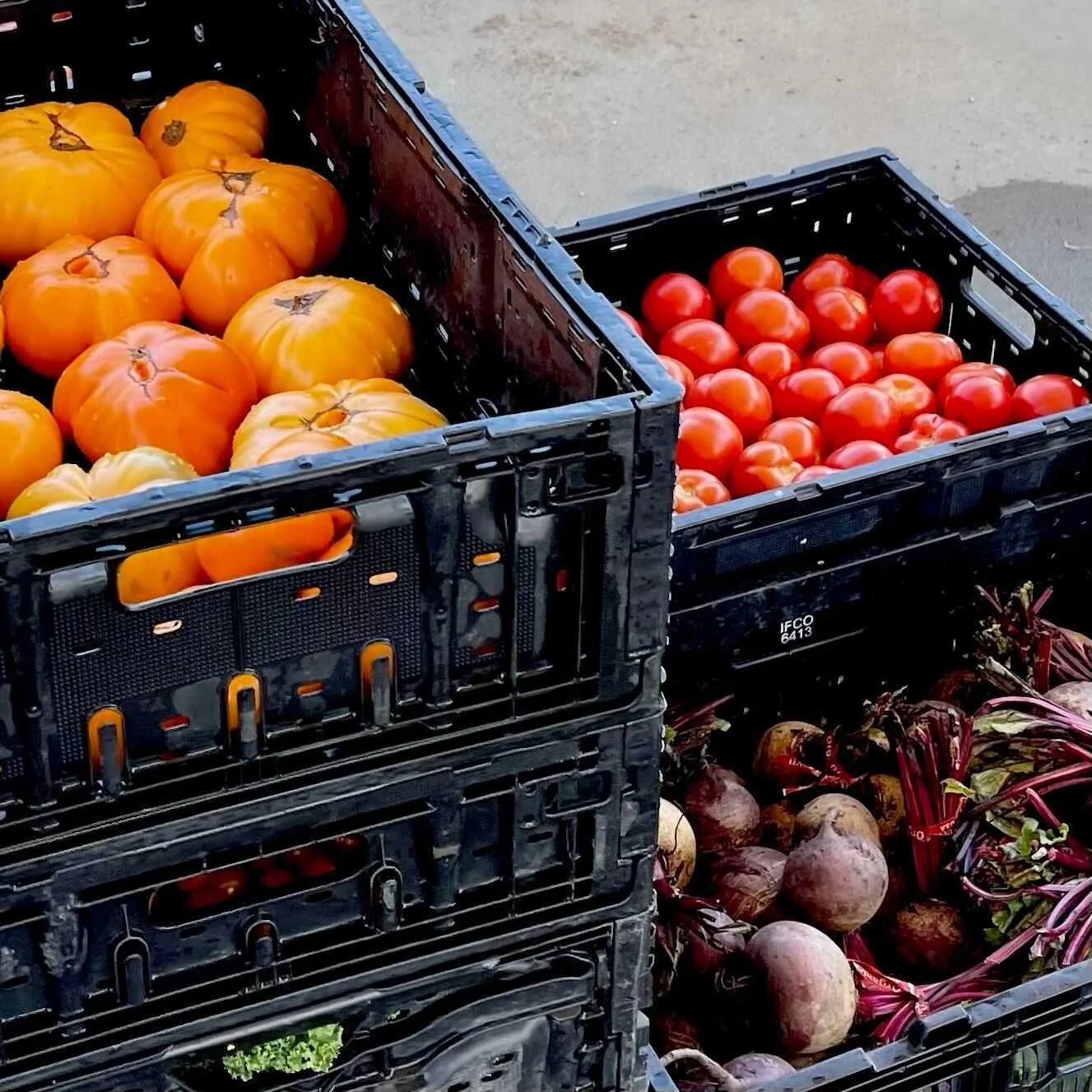 Growing the Table Provides Free, Organic Produce to Farmworkers ...