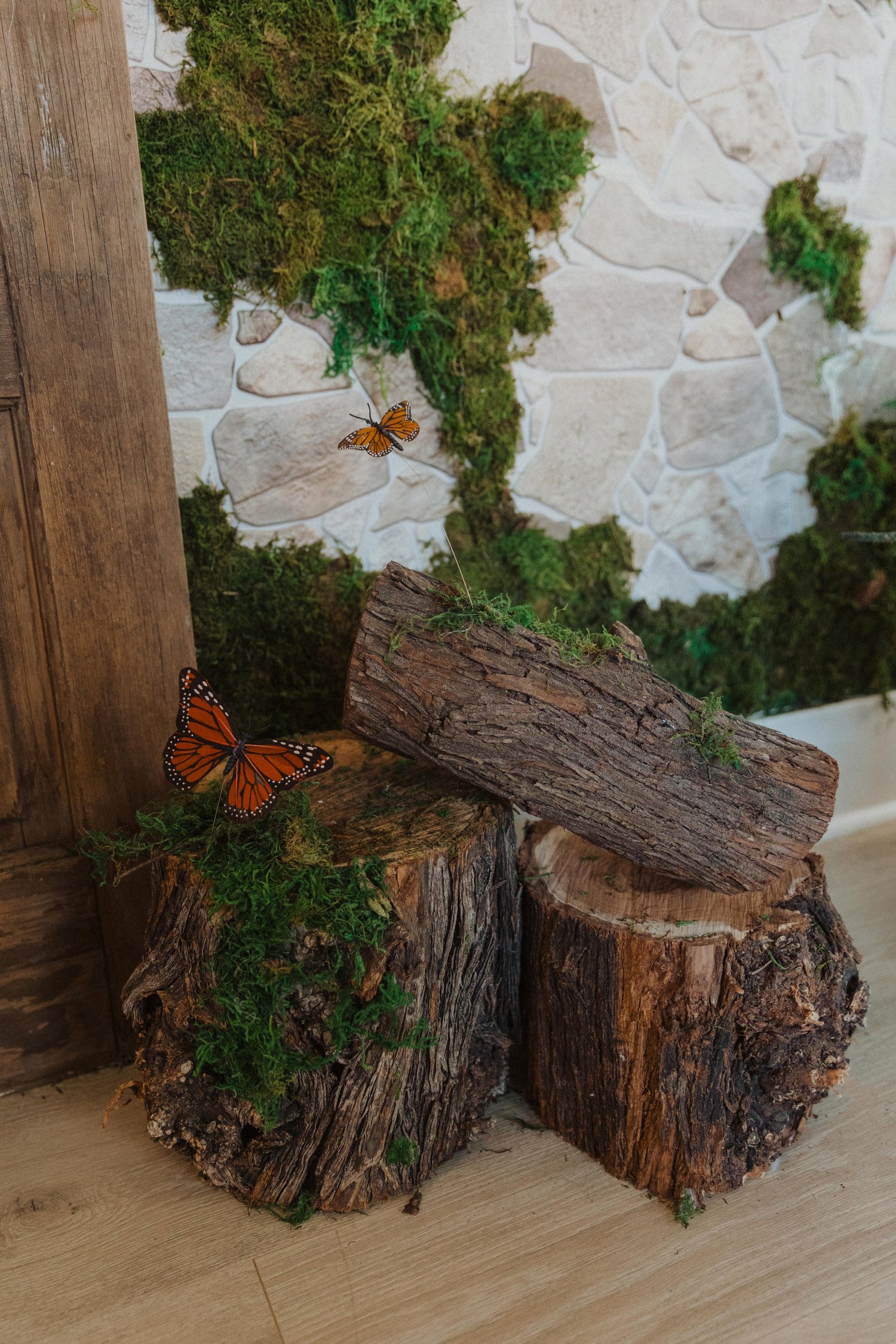 The Seasons — Studio House AZ