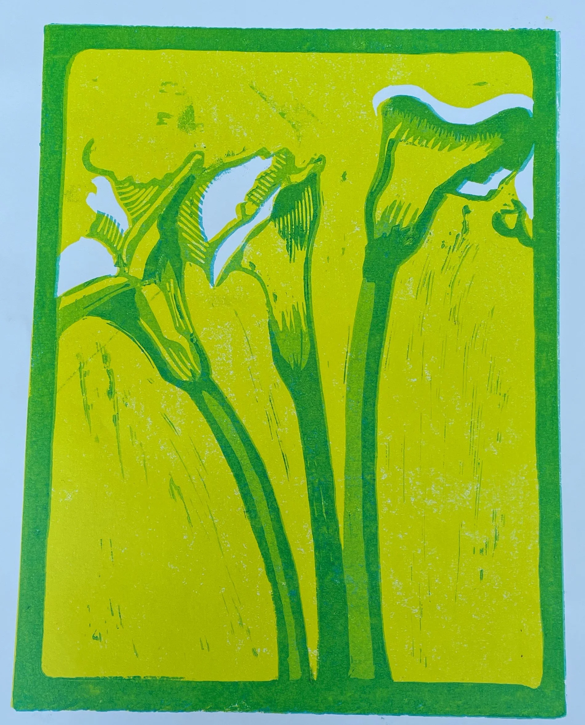 First Lilies — Debra Lennox Art