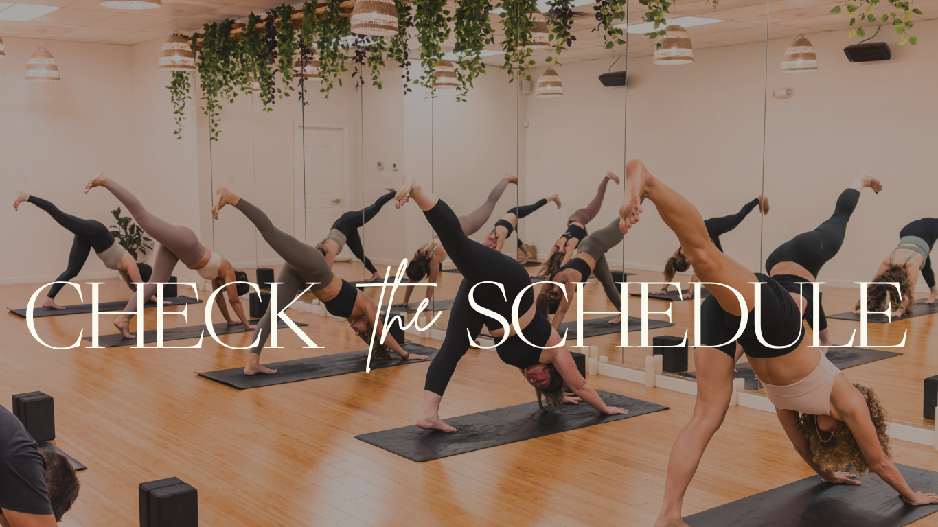 Sarasota Schedule — Bloom Yoga Collective