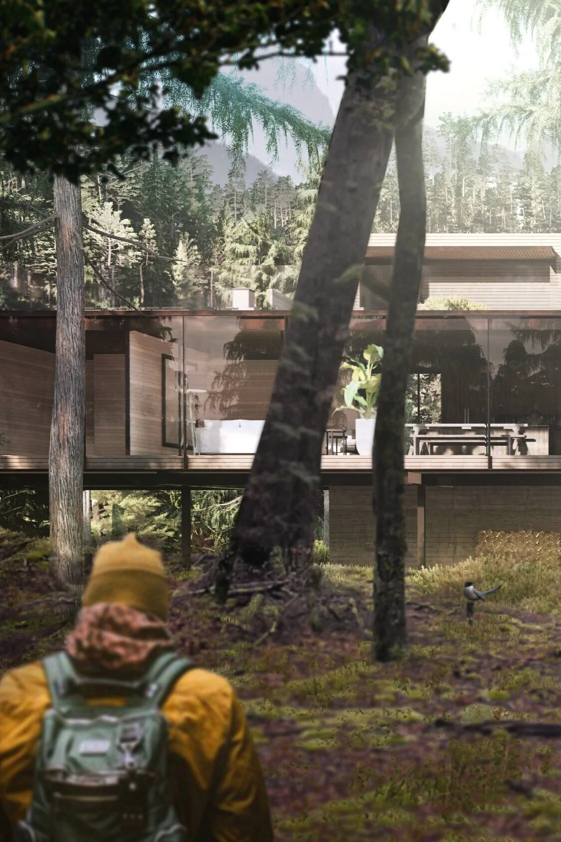 Little Giant Studio - Architecture + Interiors