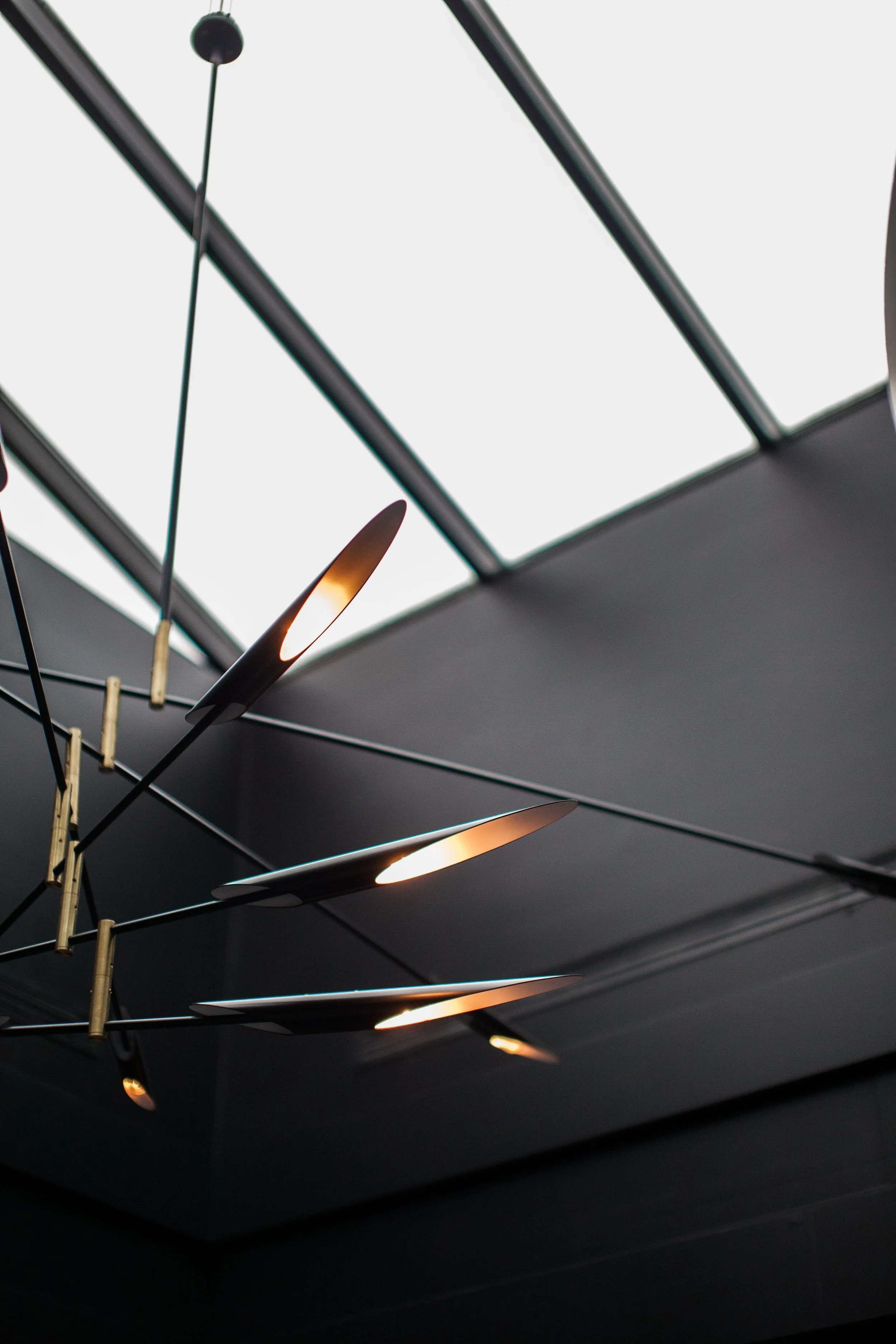 Little Giant Studio - Architecture + Interiors